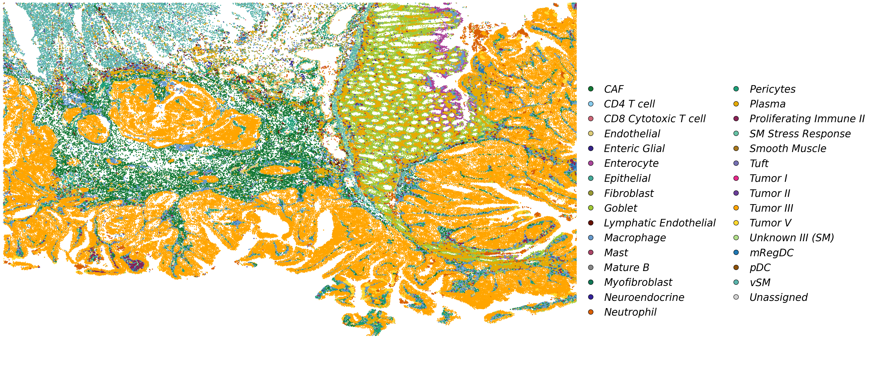 Running CellART on VisiumHD colorectal cancer dataset — CellART 0.1.0 ...